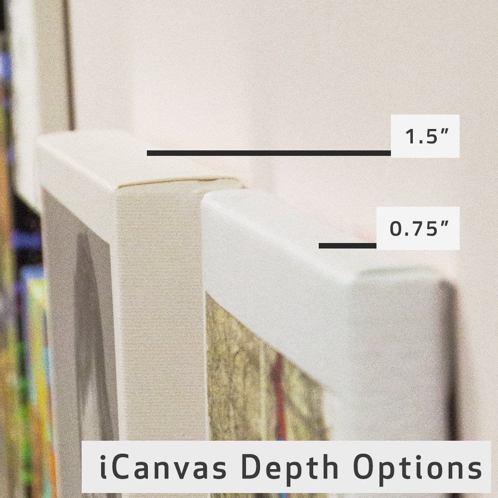 iCanvasART 1-Piece Changeling Canvas Print by Mindy Sommers, 0.75 by 12 by 18-Inch