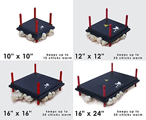 RentACoop Chick Brooder Heating Plate and Anti-Roost Cone Set- Brooder Heat Plate Warms Up to 30 Chicks - Chick Heater with 25 Adjustable Heights and 42 Watts - Safer Than to Heat Lamps - 16" x 16"