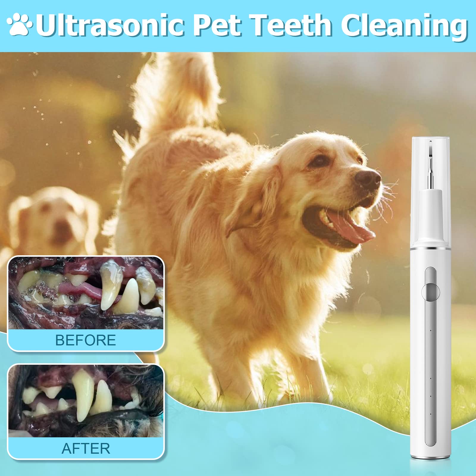 prabensei Pet Teeth Cleaning Kit with LED Light, 3 Replaceable Heads and Mouth Mirror, 3 Modes Dental Care Dog Teeth Cleaner, Home Whitening Tool