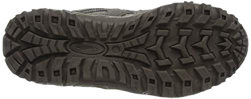 Hi-Tec Women's Low Rise Hiking Boots, Grey Lt Taupe Mellow Rose 43, 9