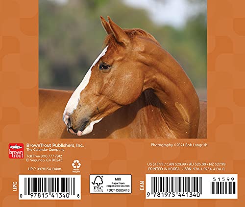 Horse Lovers 2022 6.125 x 5.125 Inch Daily Desktop Box Calendar, Animals Horses Equestrian