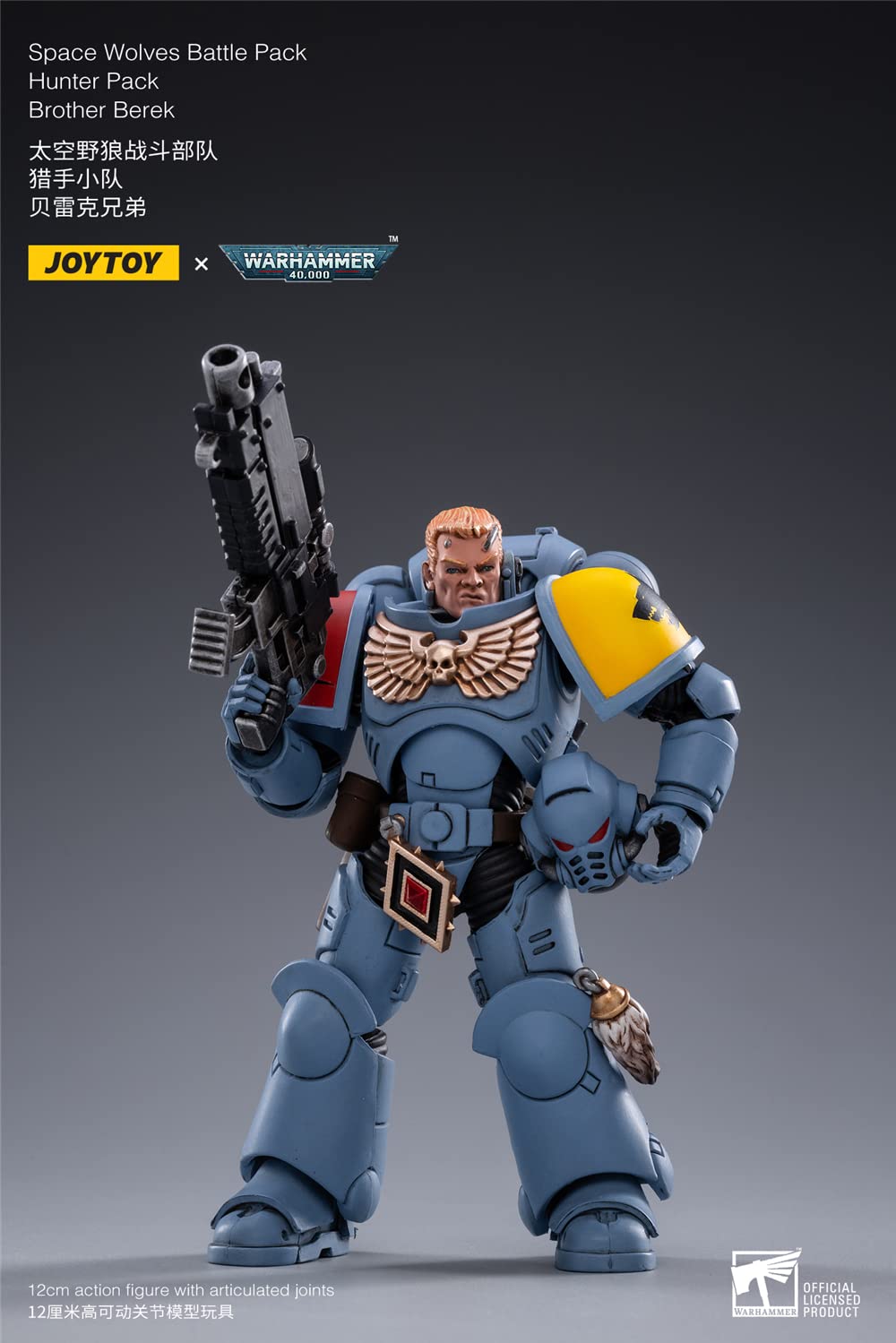 HiPlay JoyToy 1/18 Soldier Movable Figure Set of 4 - Space Wolves Hunter Pack