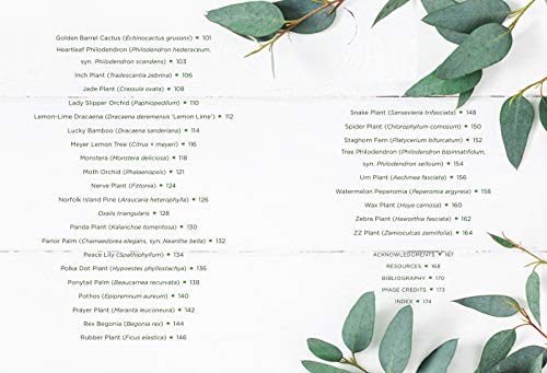How to Houseplant: A Beginnerās Guide to Making and Keeping Plant Friends