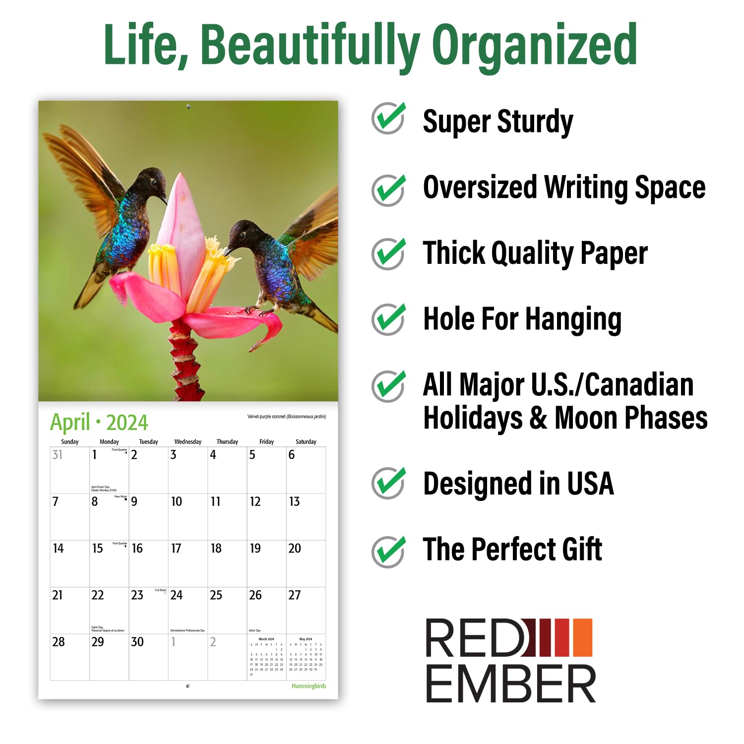 Hummingbirds 2024 Hangable Monthly Wall Calendar by Red Ember Select Series | 12" x 24" Open | Thick & Sturdy Paper | Giftable | Garden | Stunning Creatures of Flight