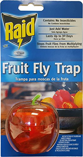Raid FFTA Fruit Fly Trap, Red, 1 Trap