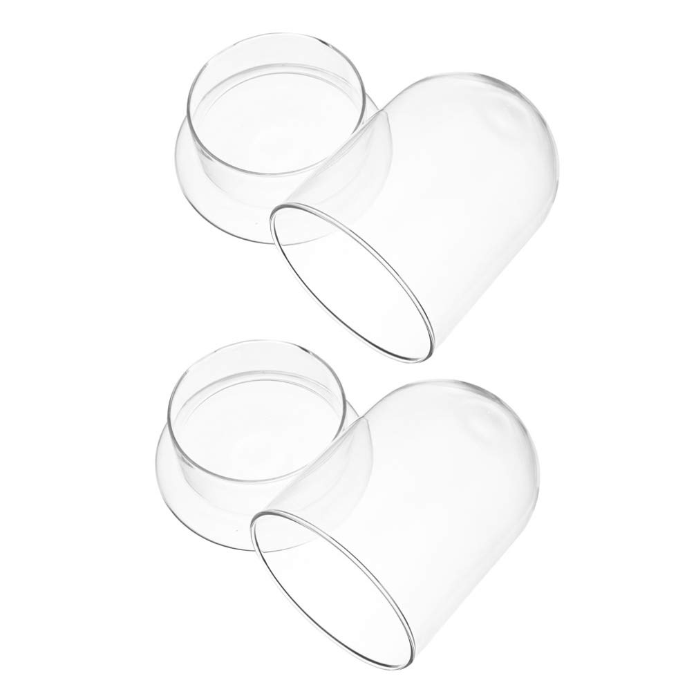 Hemoton 2pcs Air Plant Holder Glass Cloche Bell Jar Display Dome Cover Glass Ball Terrarium Air Plant Planters Floral Container