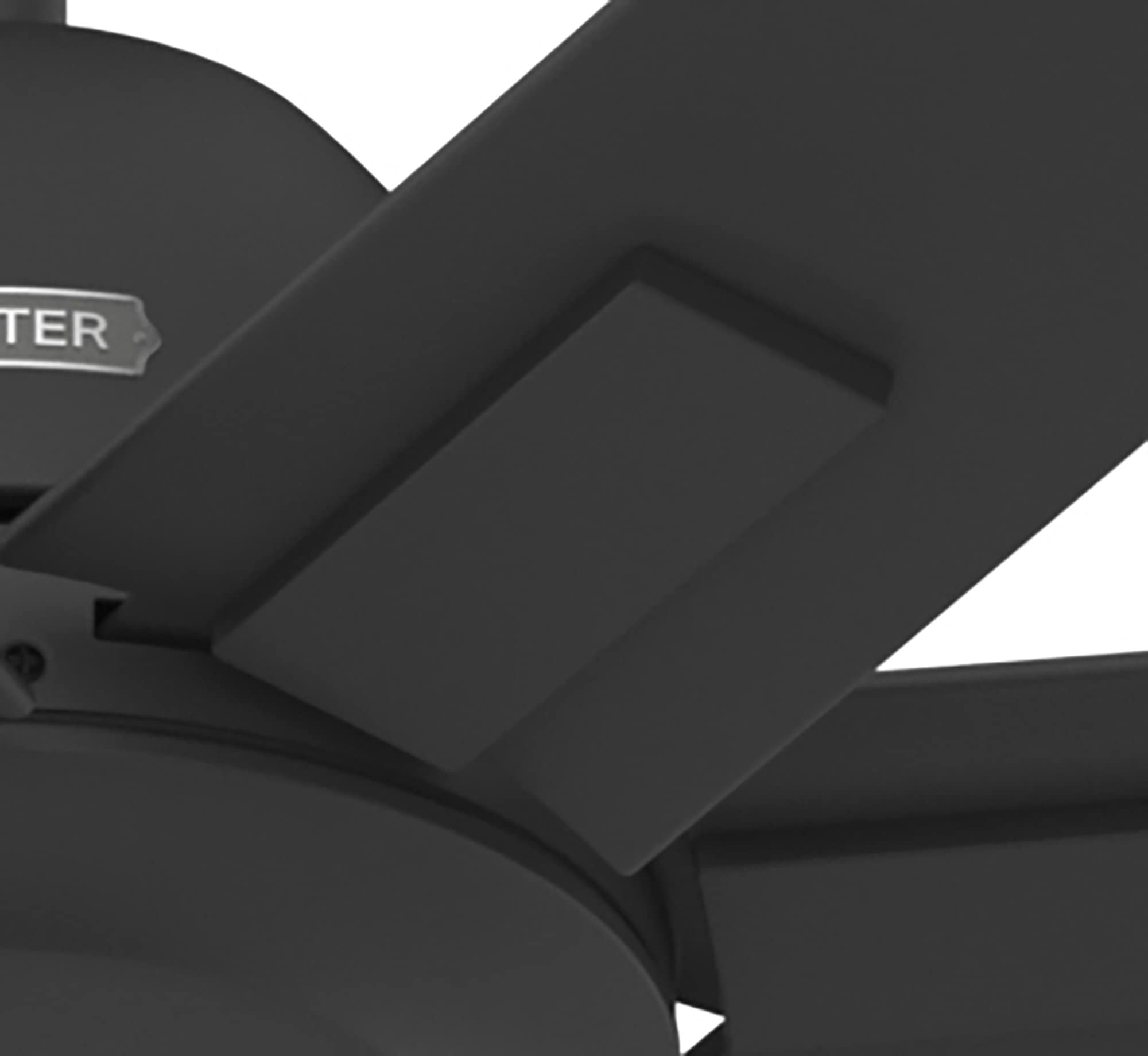 Hunter Fan Company 51590 Downtown Ceiling Fan, Matte Black, AAA