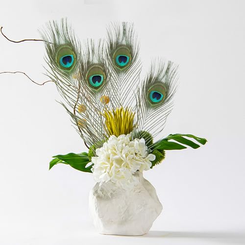 iHUFeather 10PCS Real Natural Peacock Eye Feathers 10-12 inch for DIY Craft Floral Arrangements,Wedding,Home and Party Decorations Feathers,Natural