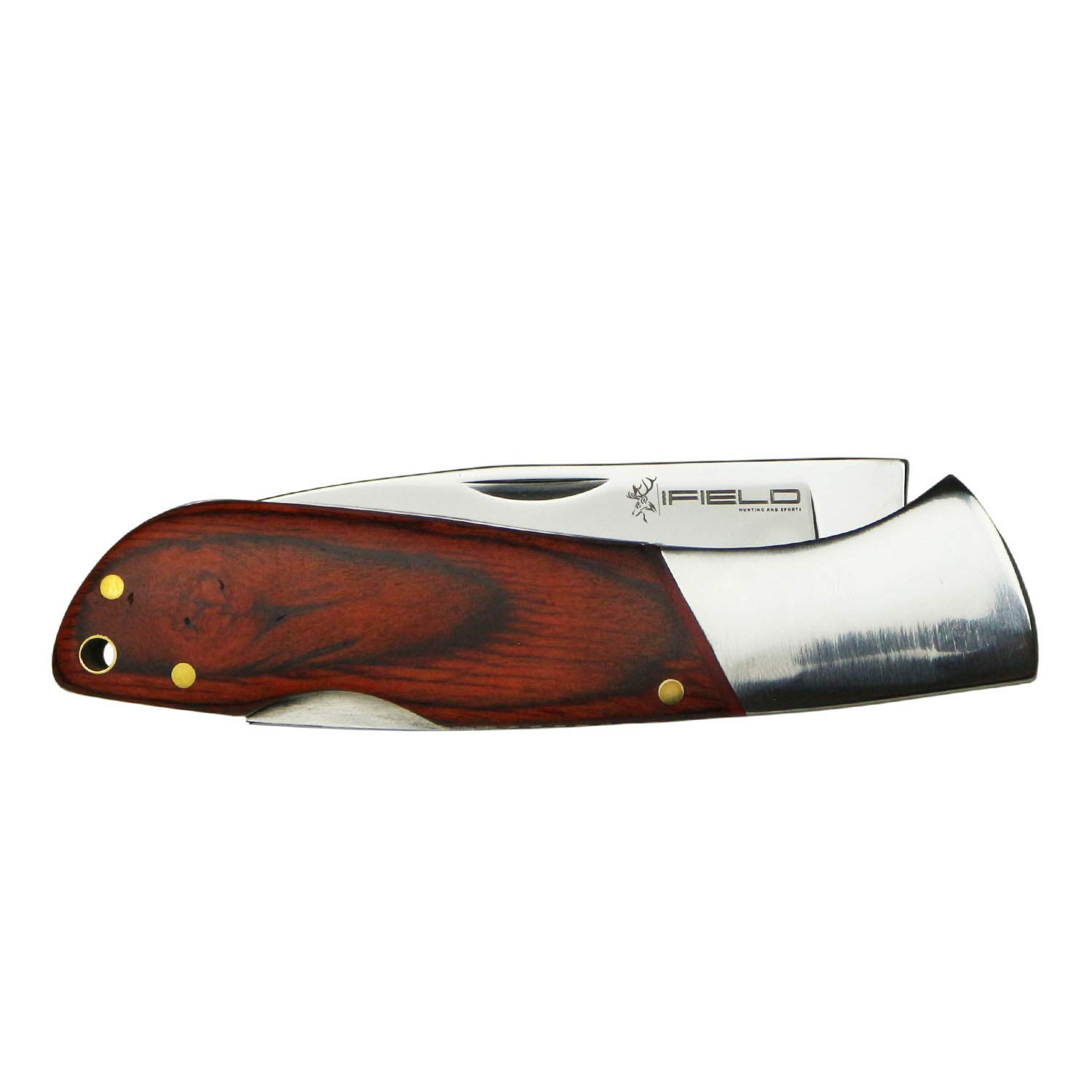 iFIELD Camper EL29045 Folding Knife, Stamina Handle, Colour Box, 3 inch. Stainless Steel Blade, Camping Tool for Fishing, Hunting, Sport Activity