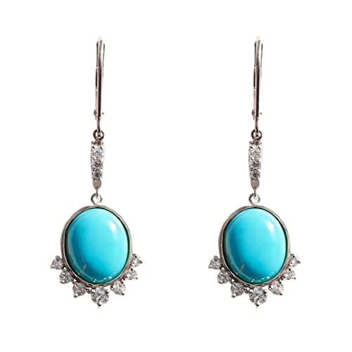 LEKODE Women Elegant Blue Turquoise Micro Zircon Earrings Simple and Fashionable Linears Earrings Gymnast Earrings (Silver, One Size)