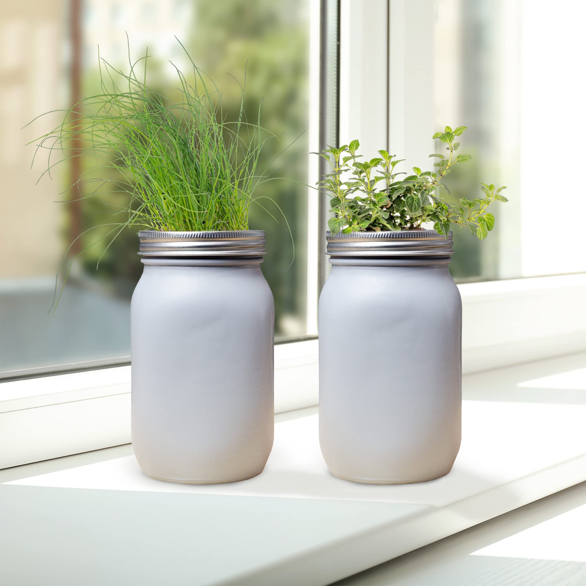 Hydroponic Mason Jar Starter Kit (10-Piece Set); w/Painted Mason Jars, Net Pots, Rockwool, Clay Pebbles and Instructions