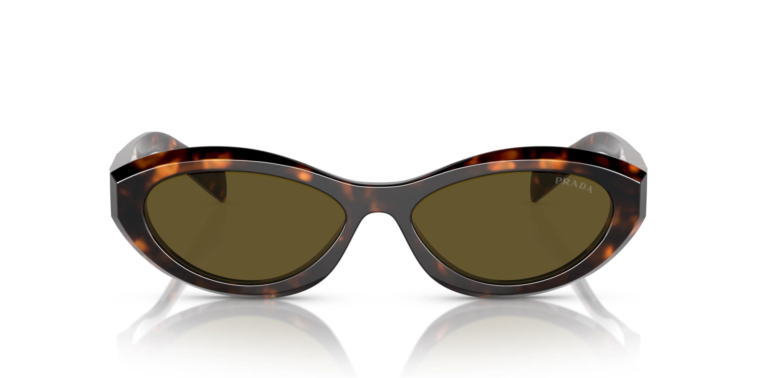 Prada PR 26ZS Honey Tortoise/Dark Brown One Size