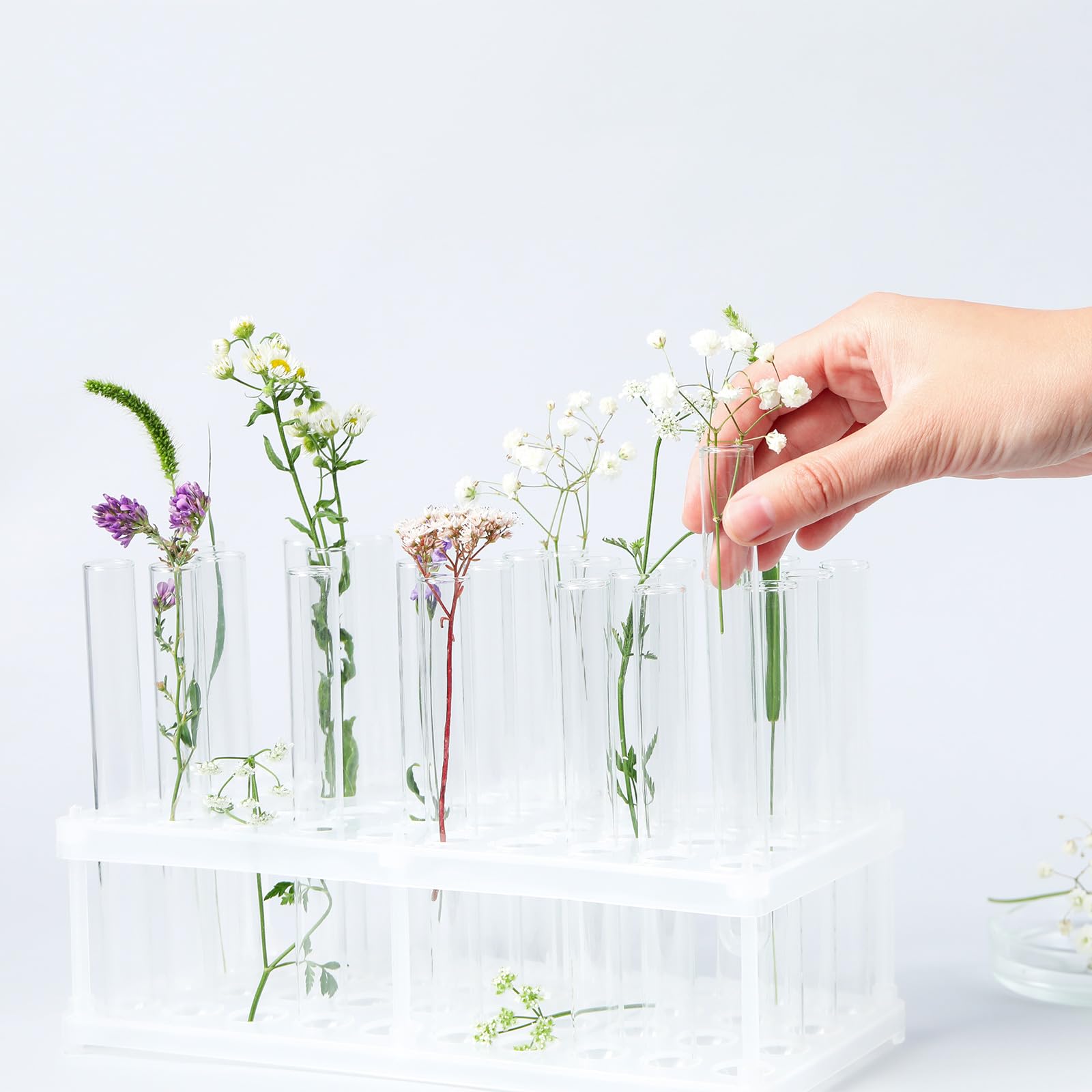 Xuhal 200 Pack Clear Plastic Test Tubes 12 x 100mm 12 ml Plastic Tubes with Caps Candy Tubes Test Lab Tubes for Scientific Themed Birthday Party Supplies