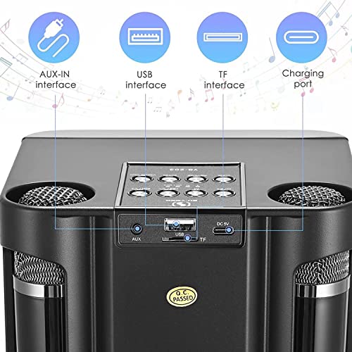 Karaoke Machine with Two Wireless Microphones, Portable Bluetooth Speaker Karaoke Sining Machines for Adults, Kids, Karoke PA System, with Echo and Vocal Cut, Supports TF/USB, AUX in,for Home Party