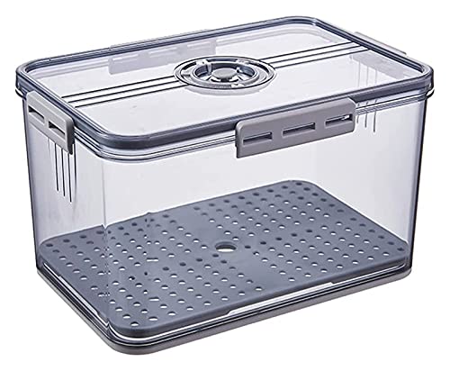 TIST Food Storage Box Container With Lid Sealed Food Storage Box For Refrigerator ( Color : Blue , Size : 6# )
