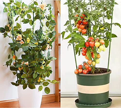 Tomato Cage for Pots 36 inch 4 Pack Garden Plant Support Tomatoes Trellis Cages with 4 Stakes & 5 Adjustable Rings for Cherry Tomato Vegetables Cucumber Climbing Plants Flower Rose Indoor Outdoor
