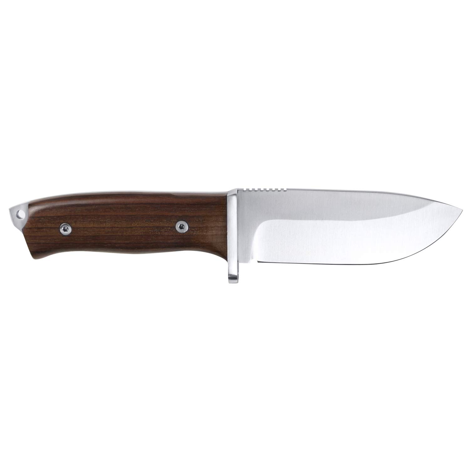 iFIELD Hunting Knife Workout EL29105, 4.6 inch MOVA Satin Blade, Cocobolo Handle, with Brown Leather case, Camping Tool for Fishing, Hunting, Sport Activity