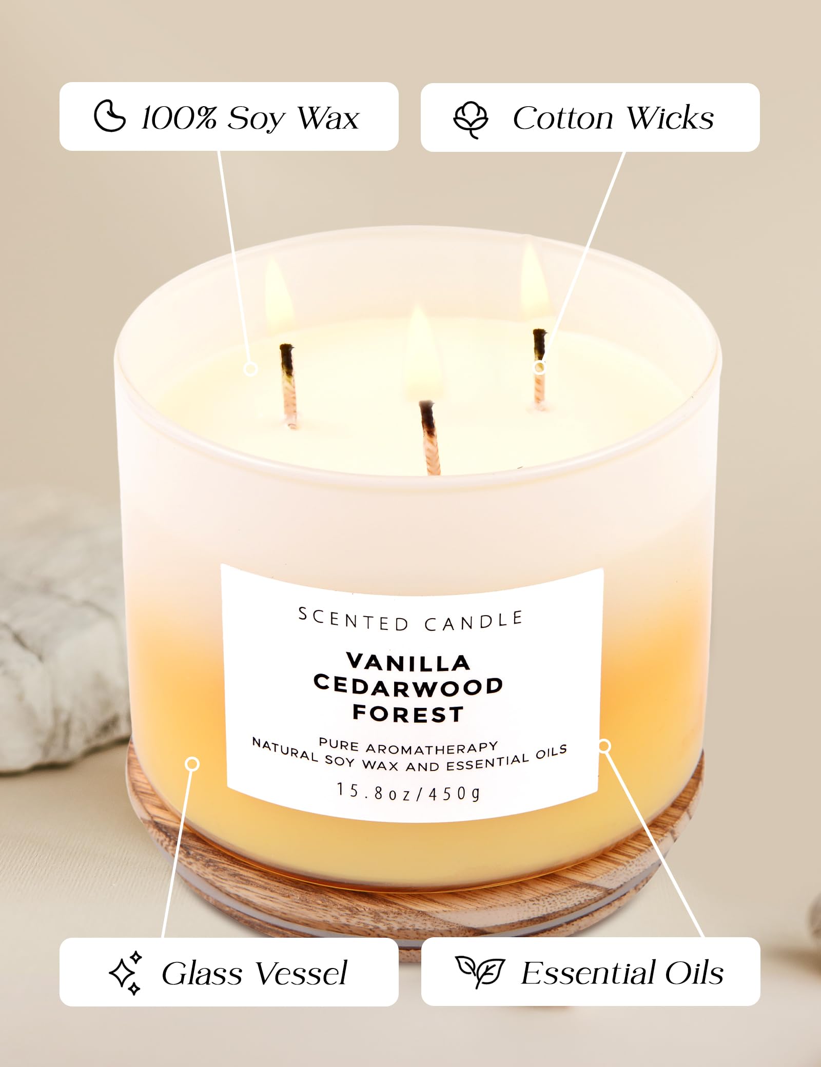 Vanilla Cedarwood Forest Candle - Large 3 Wick Scented Candle - Winter Balsam Fir Candle with Clove & Cedar - Natural Soy Candle for Home 15.8 oz - Aromatherapy Holiday Candle Gift for Women & Men
