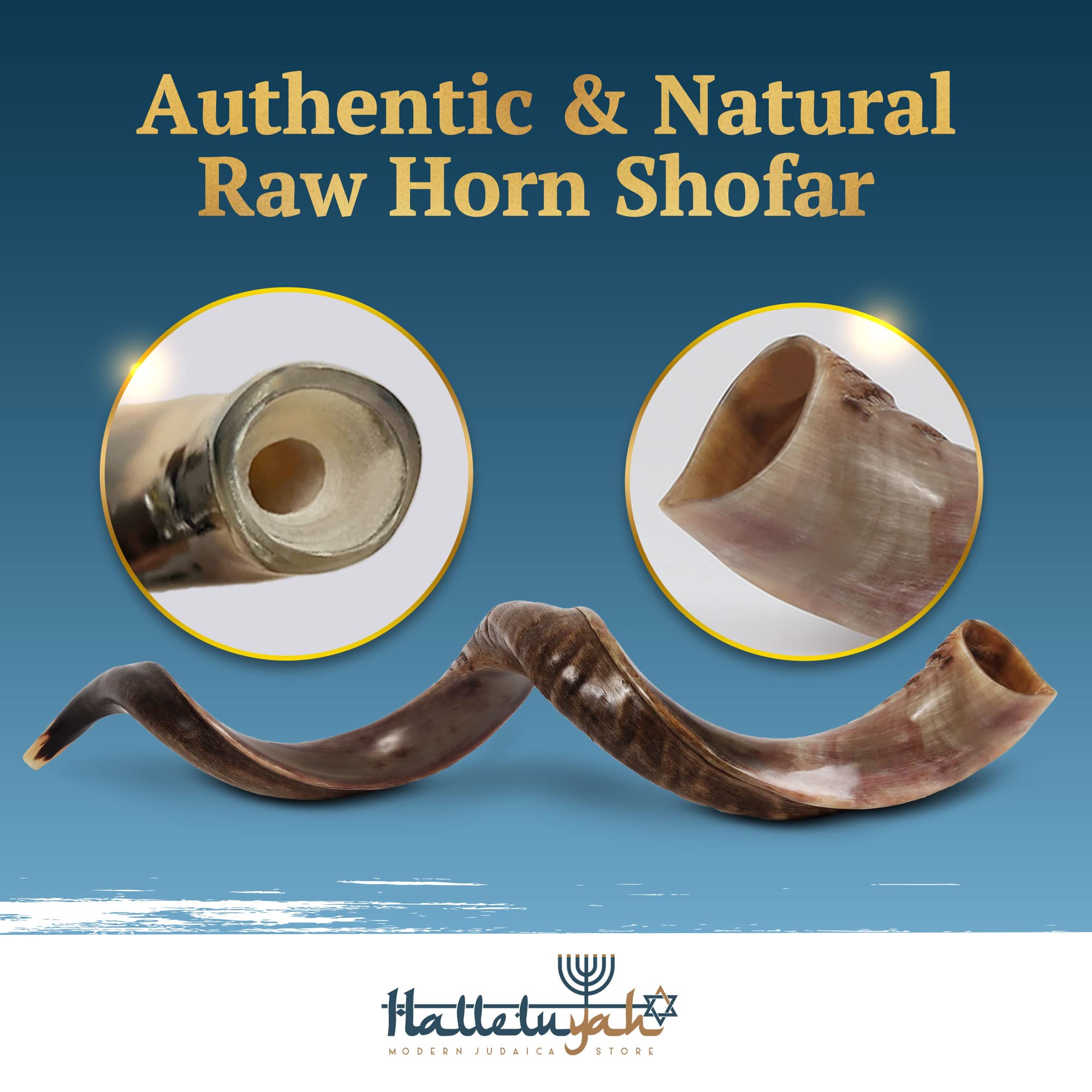 HalleluYAH Yemenite kudu Shofar From Israel Plus Free Bonus Ram Horn