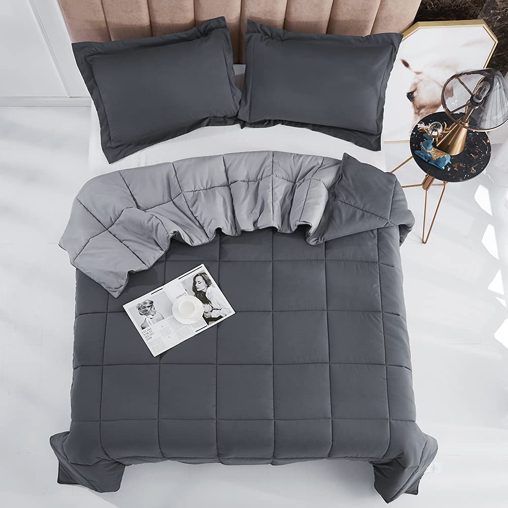 HUAJIE HJ 3 Pieces All Season Soft Comfortable Down Alternative Reversible Quilted Oversize Comforter Set School Dorm, Machine Washable