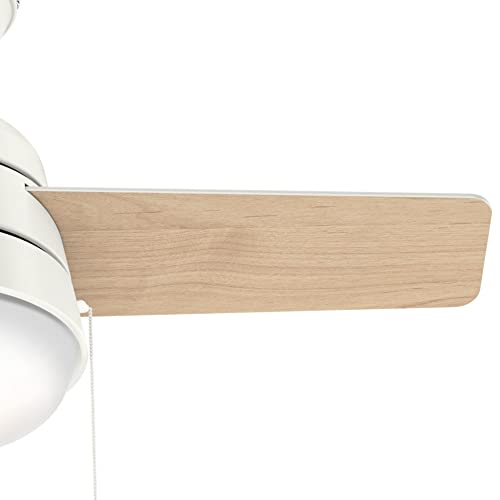 Hunter Fan Company 59301 Aker Indoor with LED Light, Pull Chain Control, 36 Inch, White