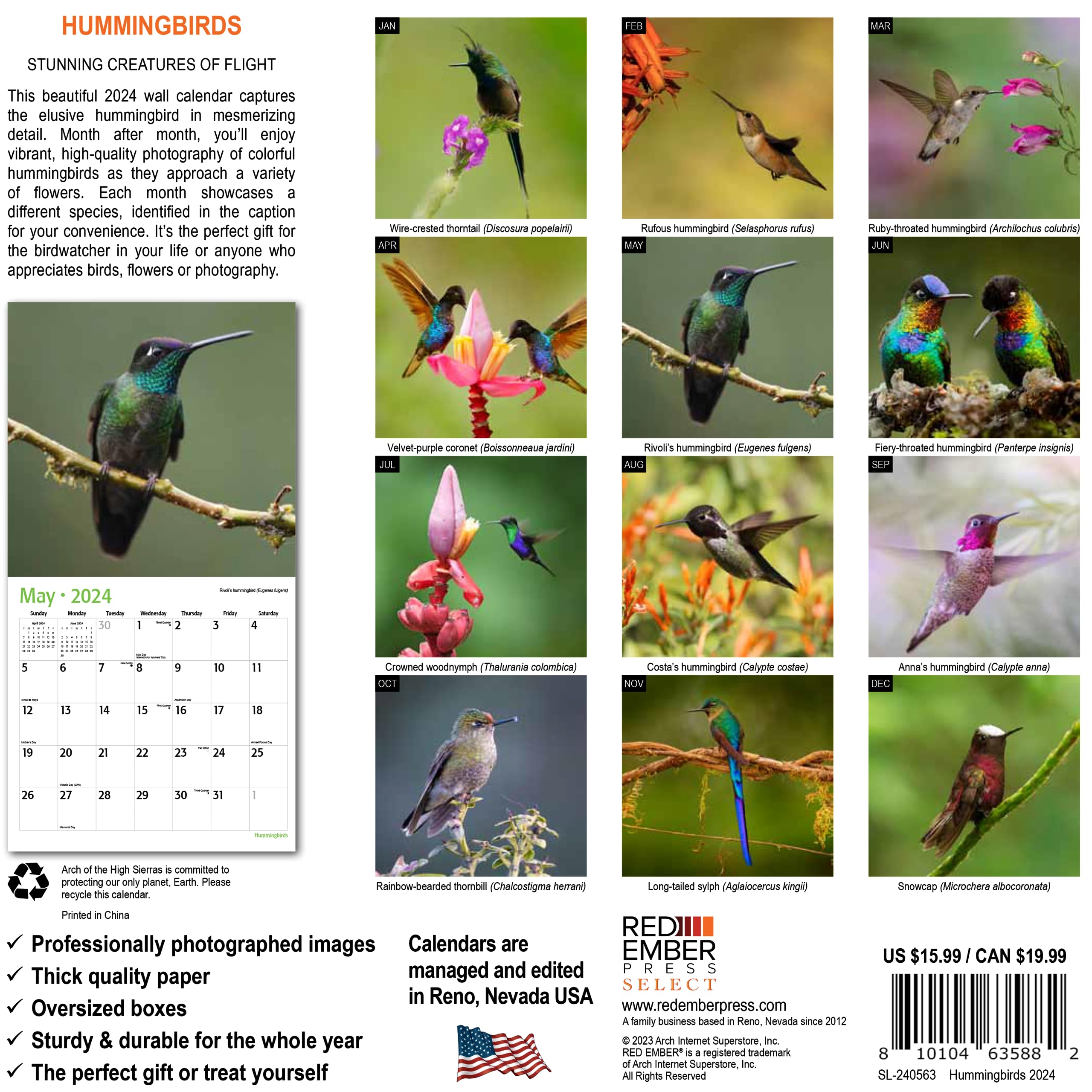 Hummingbirds 2024 Hangable Monthly Wall Calendar by Red Ember Select Series | 12" x 24" Open | Thick & Sturdy Paper | Giftable | Garden | Stunning Creatures of Flight