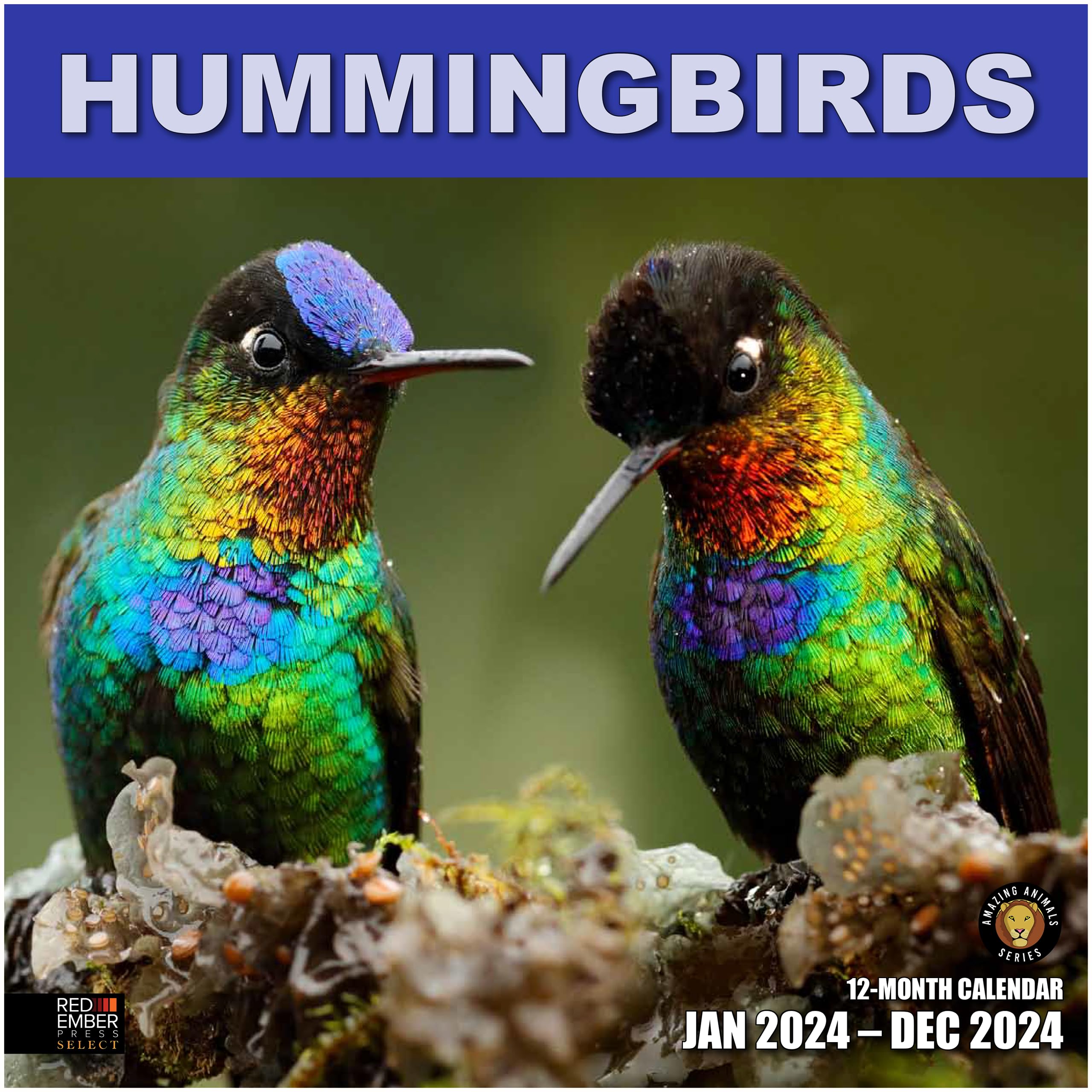 Hummingbirds 2024 Hangable Monthly Wall Calendar by Red Ember Select Series | 12" x 24" Open | Thick & Sturdy Paper | Giftable | Garden | Stunning Creatures of Flight