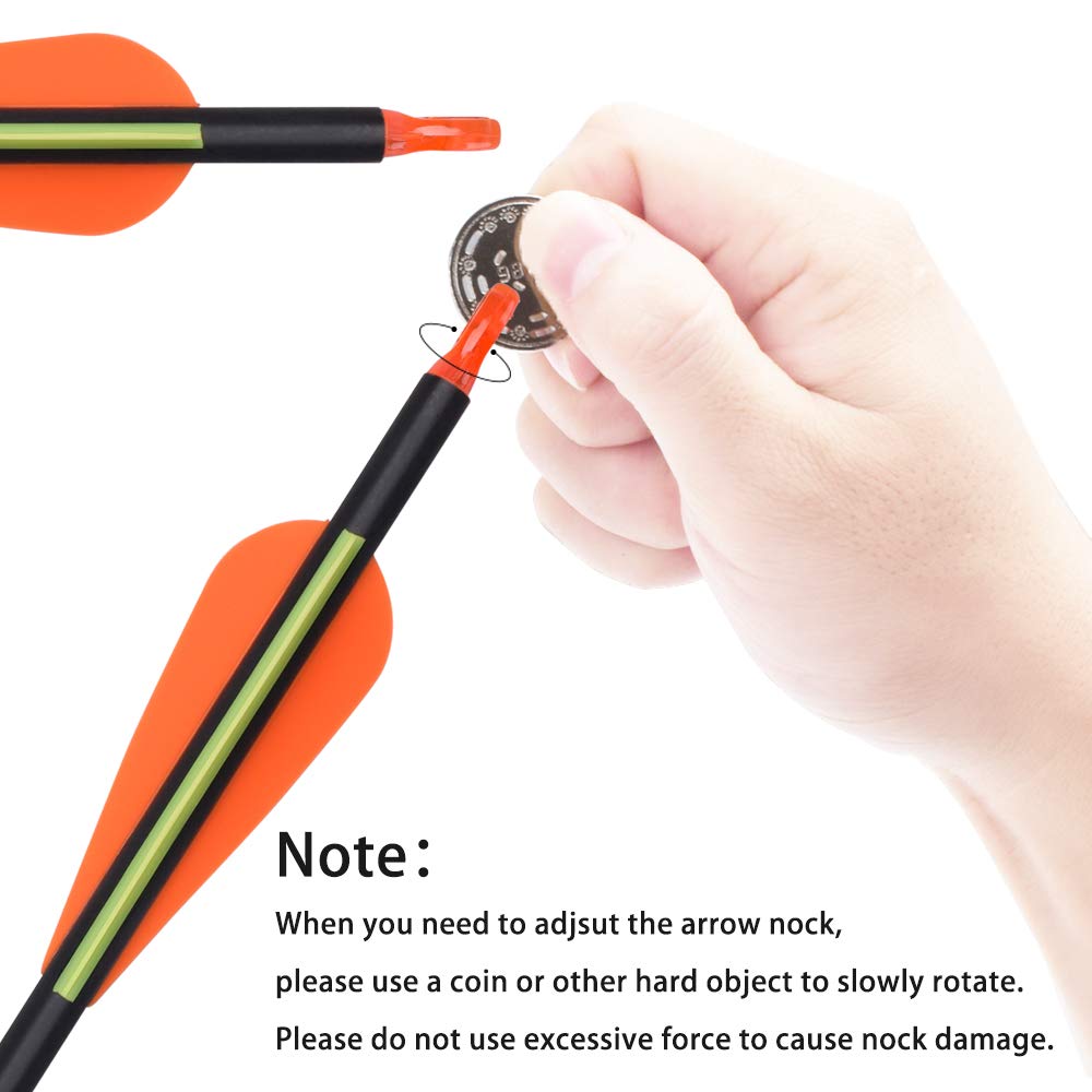 Hunter Ian Archery Carbon Arrow Hunting Arrows 28 Inch with 100 Grian Removable Tips for Compound Bow & Recurve Bow Practice Shooting (Pack of 12)