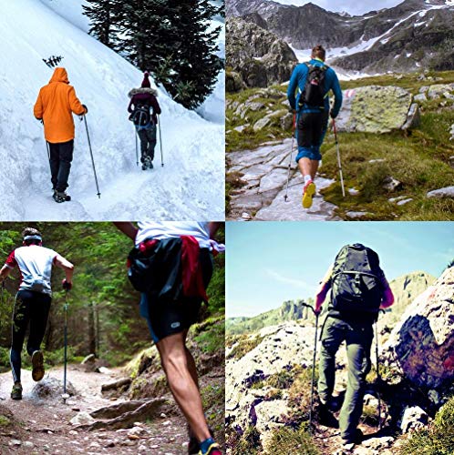 HYTX Adjustable Lightweight Aluminum Hiking Poles for Walking/Trekking/Hiking [ 2-pc Pack ] - Shock - Absorbent, Ergonomical Grip, Strong Strap (Blue)
