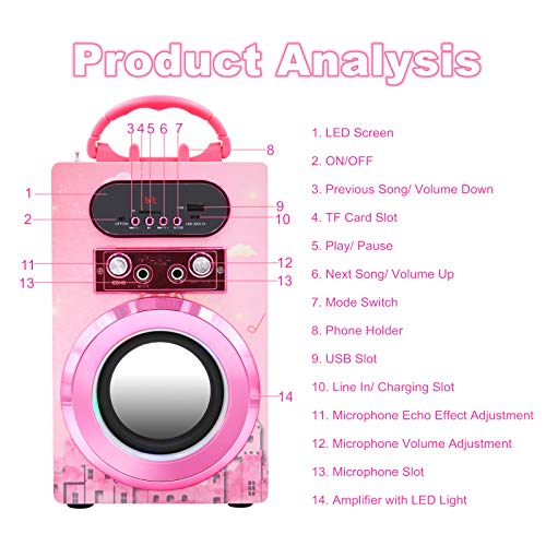 IndeCool Kids Bluetooth Karaoke Machine with 2 Microphones, Remote Control Wireless Karaoke Speaker Portable Karaoke Machine Music MP3 Player for Kids Adult Party Gift (Pink)