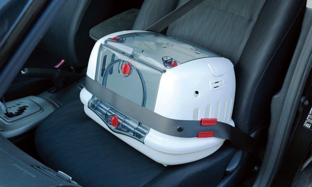 Iris Ohyama, Basket, Box, Case, Plastic (PP) Carrier Bag for Dogs, Cats, Side notches for seat Belt and Two Openings, L48 x W32.1 x H30 cm, P-HC480, White