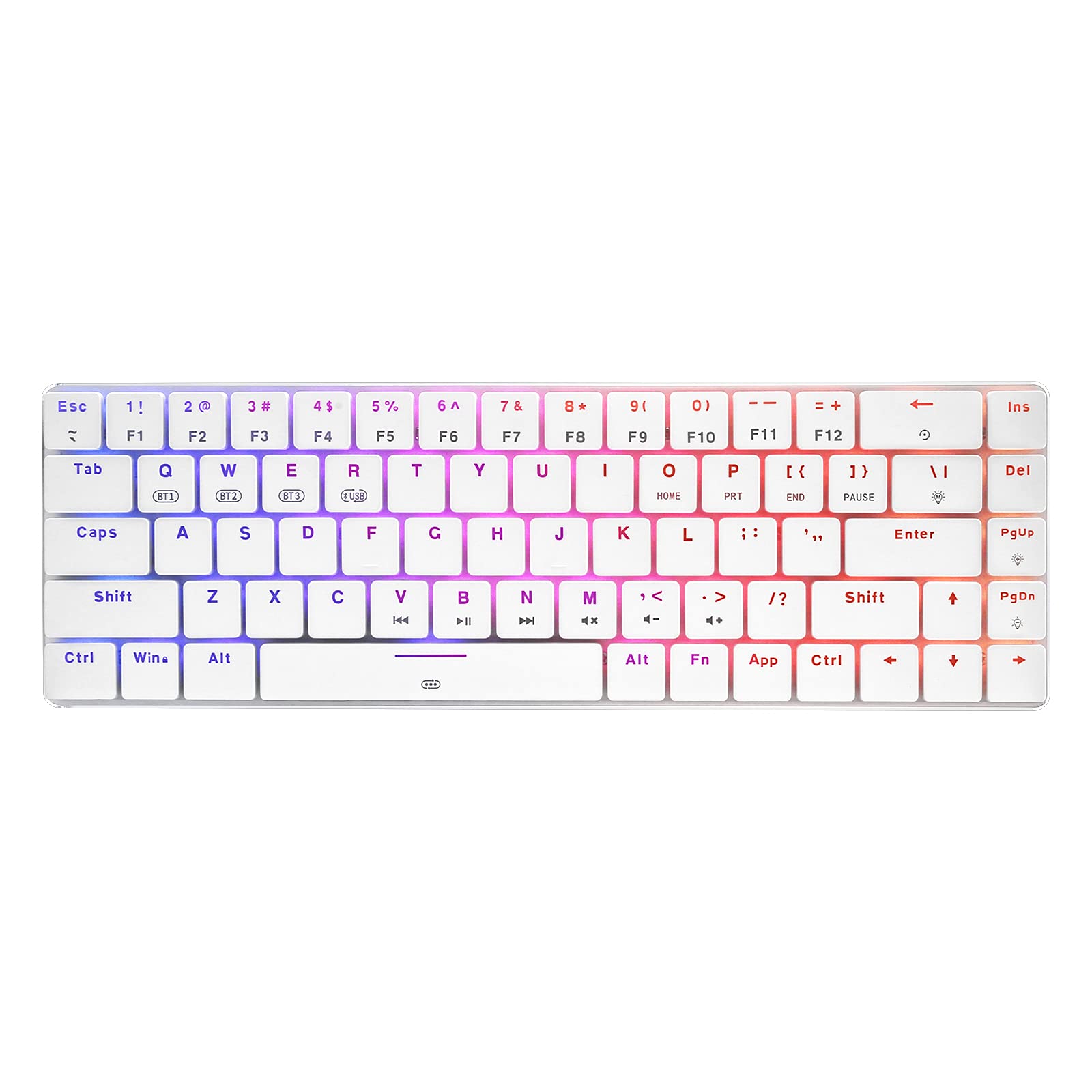HUO JI 60% Compact RGB Wireless Mechanical Gaming Keyboard, Red Switches, Bluetooth 5.0, Wired Keyboard 69 Keys for PC Tablet Laptop Cell Phone, White