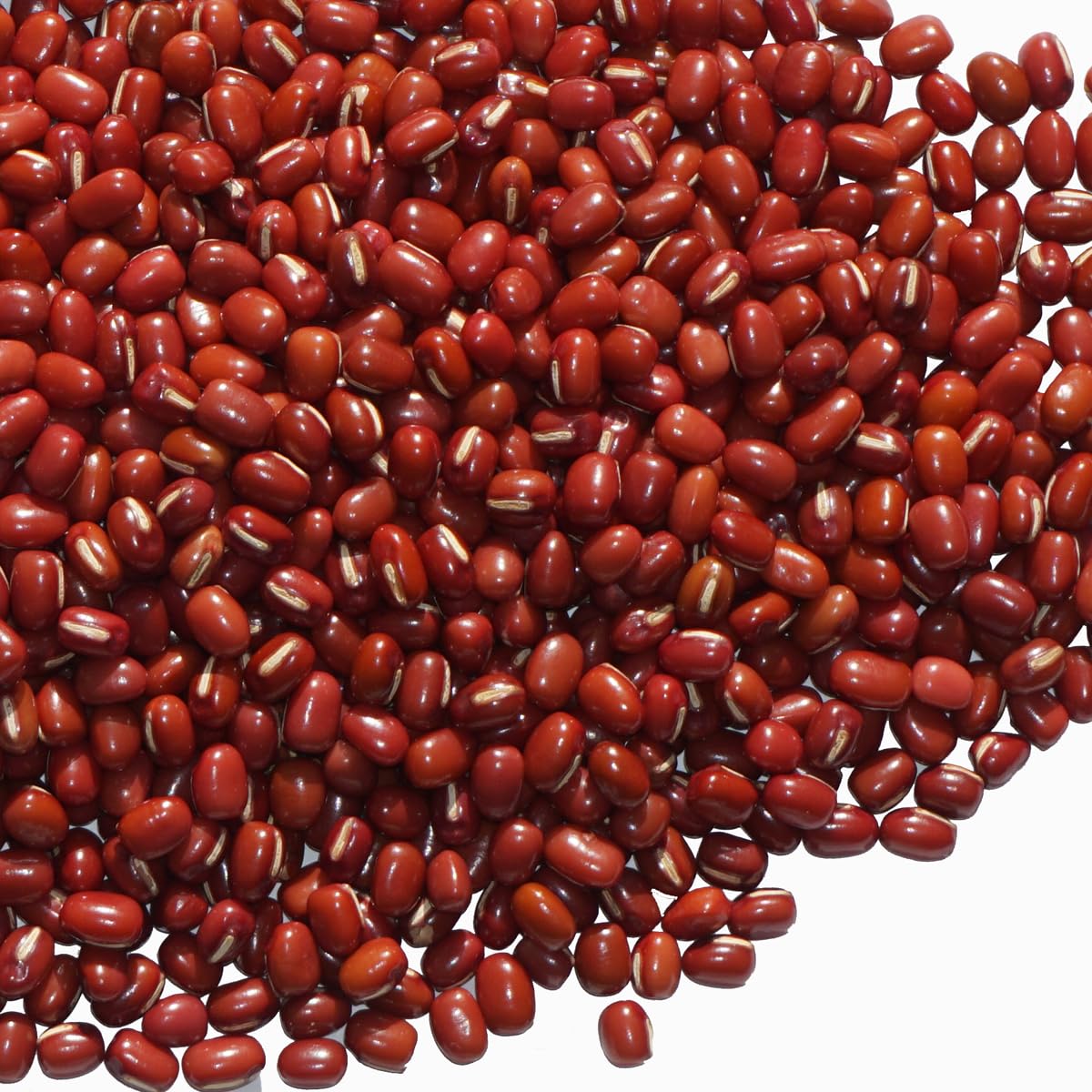 Hokkaido Toyomi Dainagon red beans 1kg Dainagon Dainagon azuki bean red bean red bean ä§