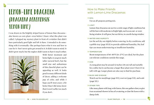 How to Houseplant: A Beginnerās Guide to Making and Keeping Plant Friends