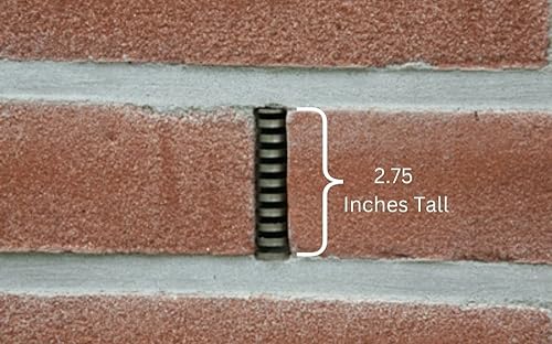 Rid-O-Mice Stainless Steel Brick Weep Hole Covers (60, 2.75 Inch) Stops and Keeps Out Mice, Wasps, Bees, Lizards, Snakes, Scorpions and Many Insects.