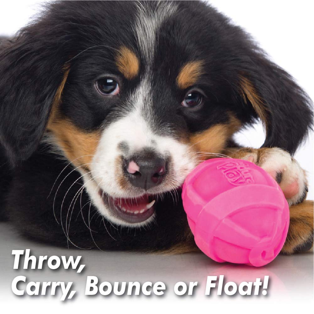 Hartz Dura Play Bacon Scented Rocket Dog Toy, Medium ( Colors may vary ) (3 Pack)