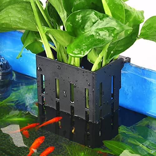 Upgraded Aquarium Plant Holder with Hooks and Suction Cups for Fish Tank Aquaponic Plant Cultivation and Aquascape Decorations (Black)