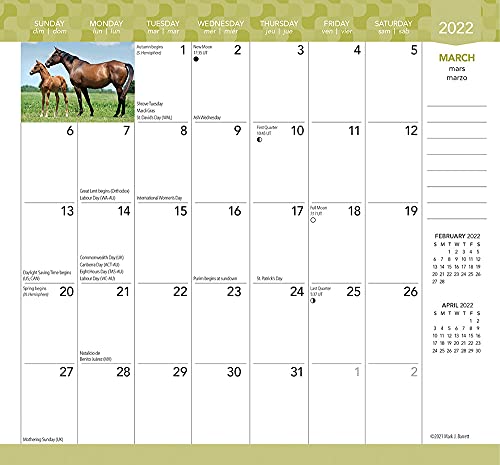 Horse Lovers 2022 3.5 x 6.5 Inch Two Year Monthly Pocket Planner, Animals Equestrian