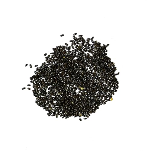 Seed Needs, Munstead Lavender Seeds - 500 Heirloom Seeds for Planting Lavandula angustifolia - Non-GMO & Untreated Fragrant Flowers to Attract Pollinators (2 Packs)