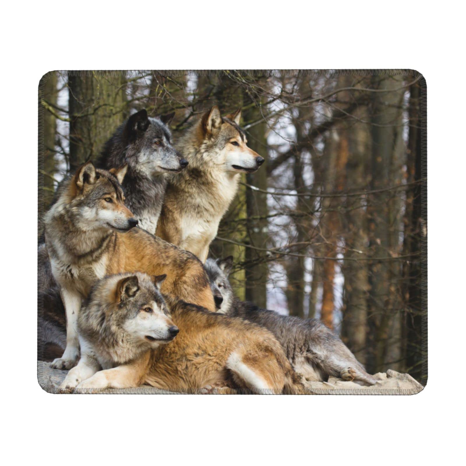 Handsome Wild Wolves Mouse Pad Anti-Slip Forest Natural Animal Artistic Print Gaming Mouse Pad for Laptops Office Computer Mouse Pads 7.9" x 9.5"