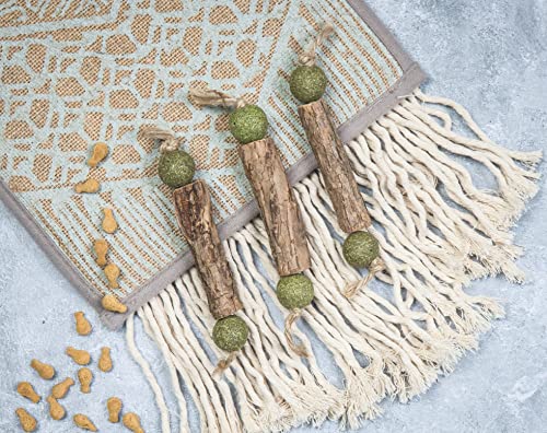 XanderPets Cat Chew Stick - Matatabi Stick for Cat - Silvervine Chew Sticks for Cats - Cat Dental Sticks w/Cat Nips Organic - All Breeds 3PK