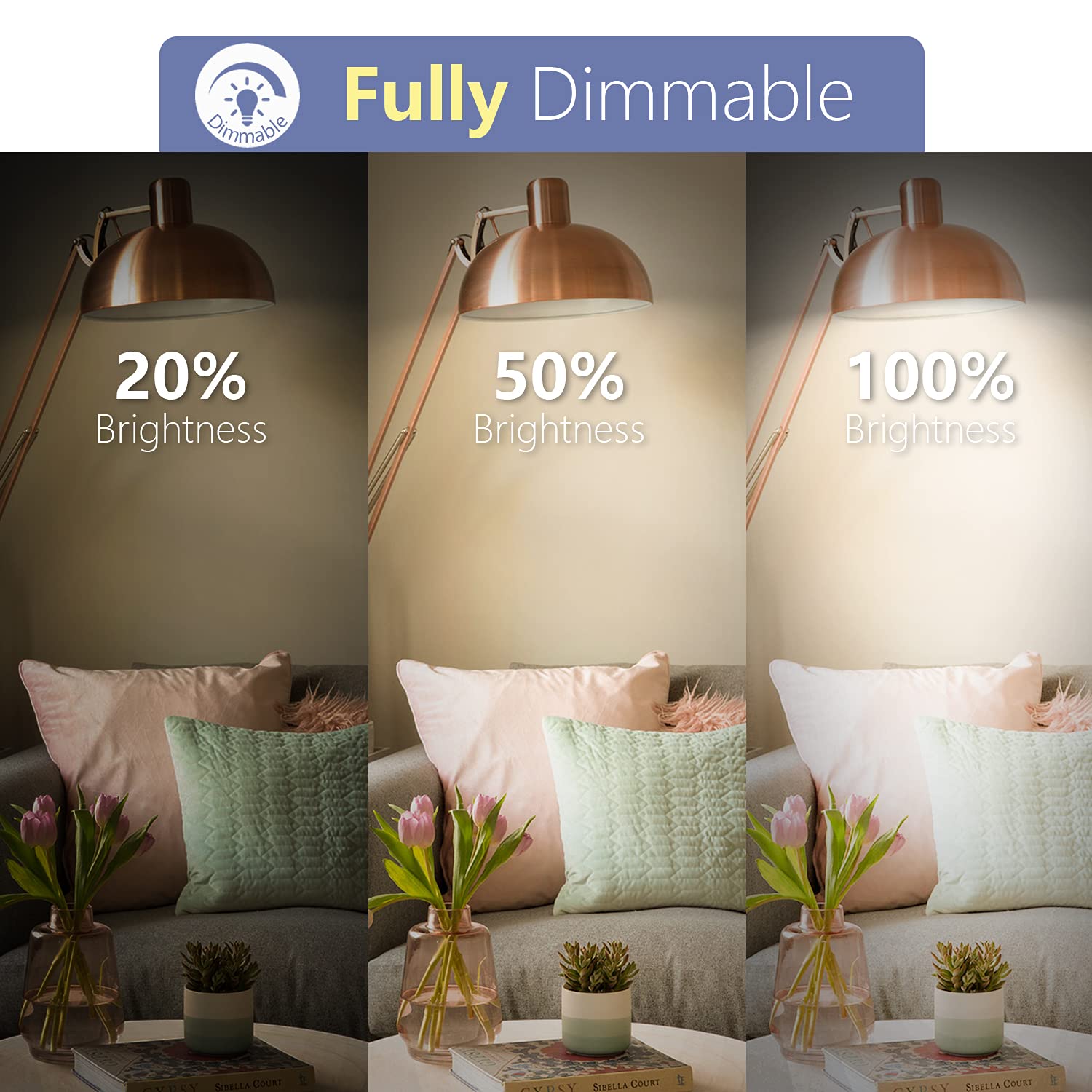 Kasonic Dimmable A19 LED Light Bulb, 60W Equivalent, Efficient 9W, UL Listed, 830 Lumens, E26 Standard Base, 3000K Warm White, 6 Pack