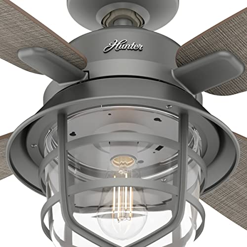 Hunter Fan Company 50390 Port Royale Ceiling Fan, 52, Matte Silver Finish