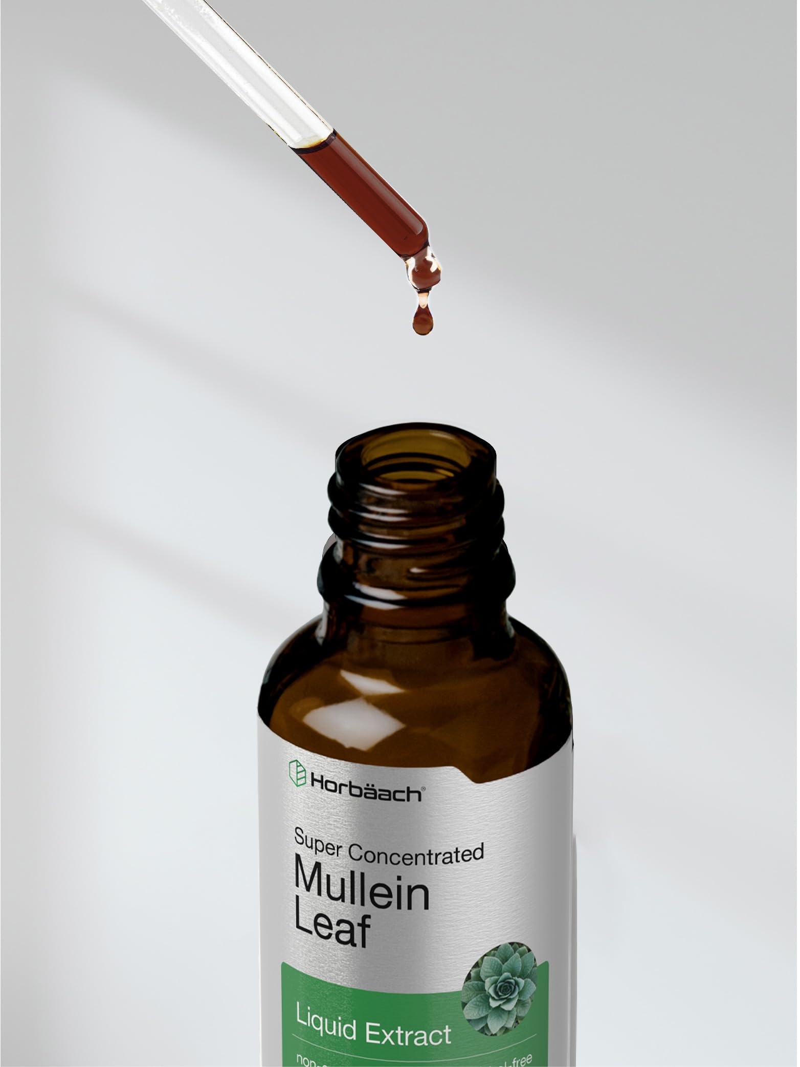 Horbäach Mullein Leaf Tincture Drops | 2 fl oz | Alcohol Free Liquid Extract | Vegetarian, Non-GMO & Gluten Free Herbal Supplement