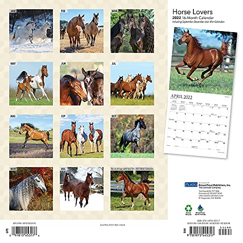 Horse Lovers 2022 12 x 12 Inch Monthly Square Wall Calendar by Plato, Animals Horses Equestrian