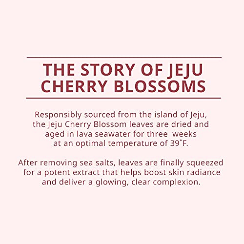 innisfree Cherry Blossom Dewy Glow Toner Hydrating Face Treatment, 6.76 Fl Oz (Pack of 1)