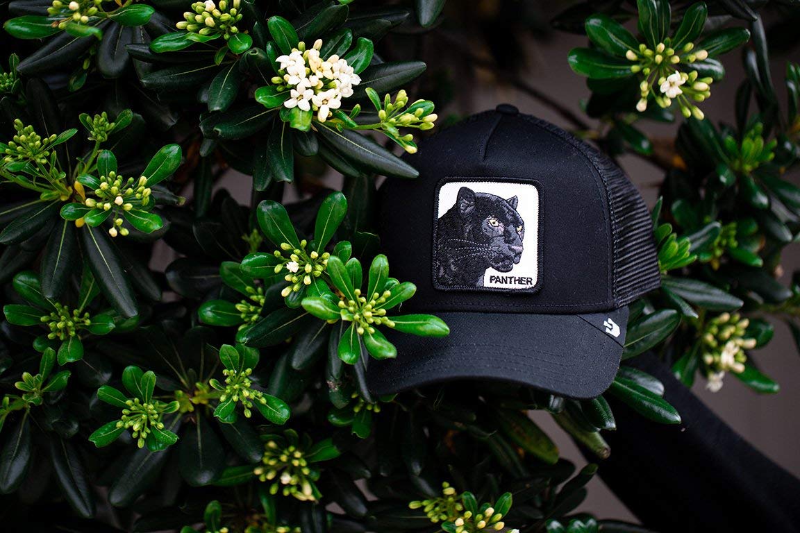 Goorin Bros. The Farm Unisex Baseball Trucker Hat, Black (Panther), One Size