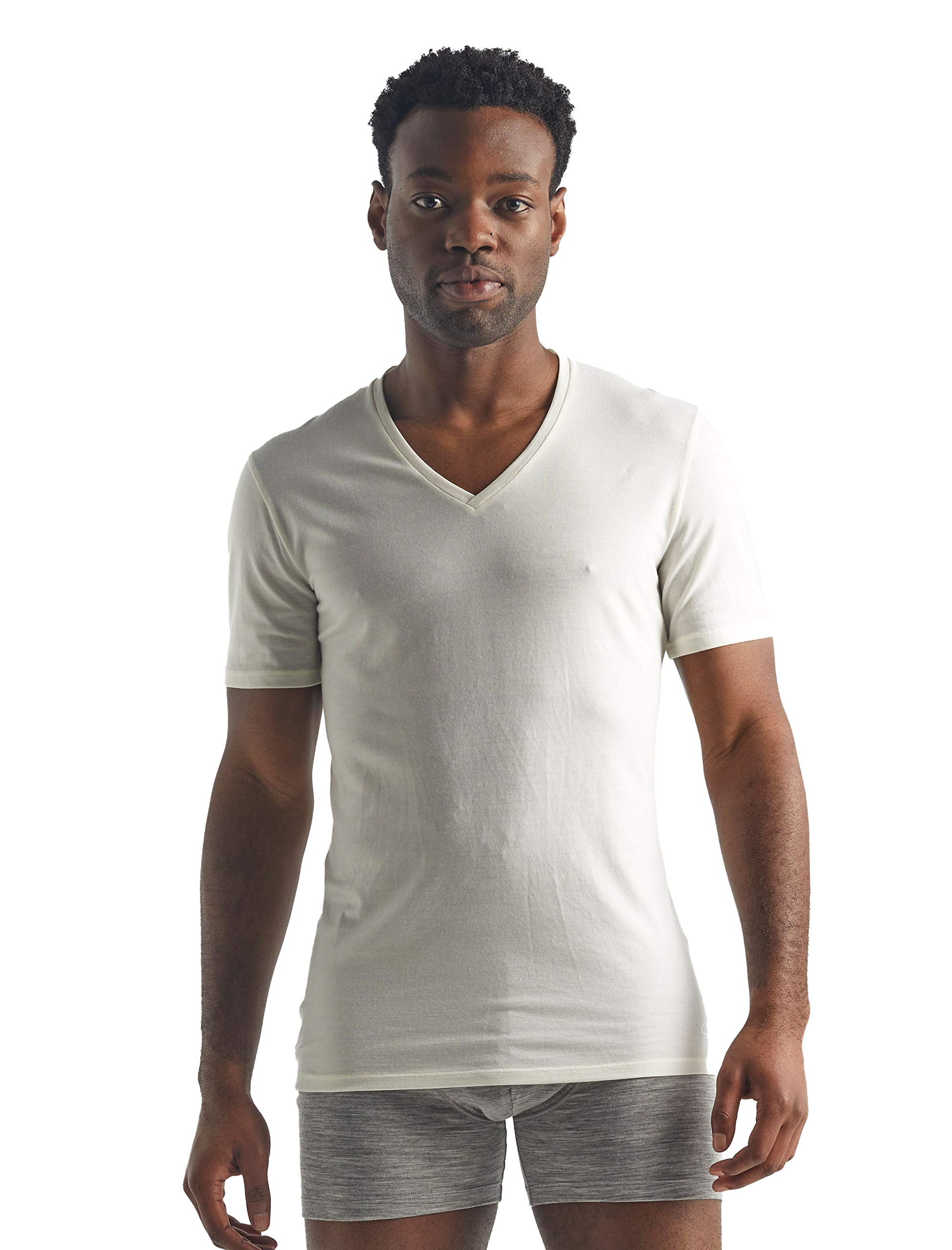 Icebreaker Merino Anatomica T-Shirts for Men, Short Sleeve V-Tee, Merino Wool Base Layer - Lightweight, Durable Thermal Shirts for Skiing, Hiking - Cold Weather Menās Essentials, Snow, X-Large