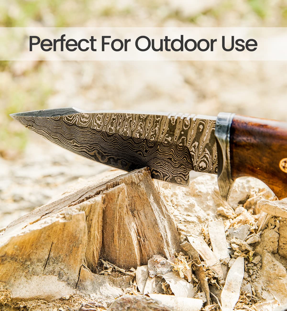 Hunting Knife 10-Inch Handmade Damascus knife & Blade Sharpener | Fixed Blade Knife with Sheath | Survival Knife with Non-Slip Walnut wood Handle | Tactical knife for self defense