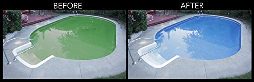Rx Clear Spring Start-Up Kit | Chemicals for Opening Swimming Pools | Above or Inground | for Pools Up to 7,500 Gallons | Includes Shock, Algaecide, Stabilizer/Conditioner and Test Strips